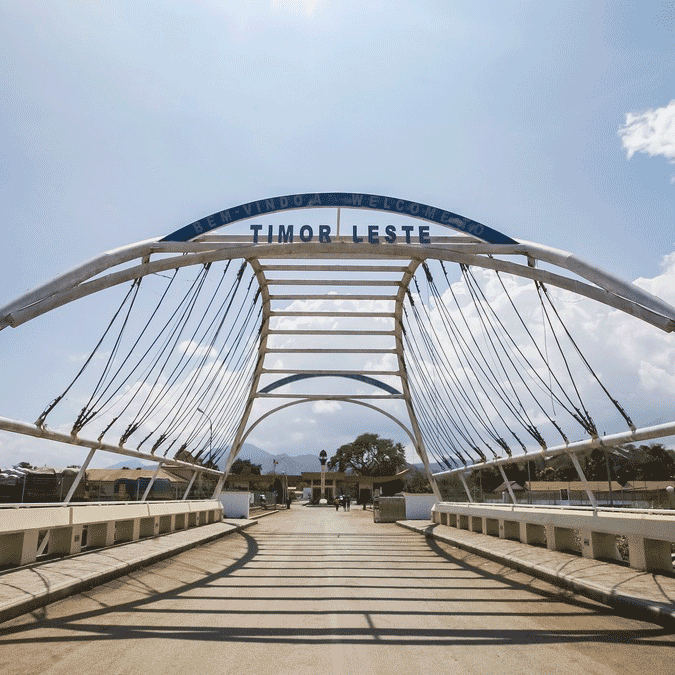 TileSW-homepage | Timor-Leste Electronic Single Window